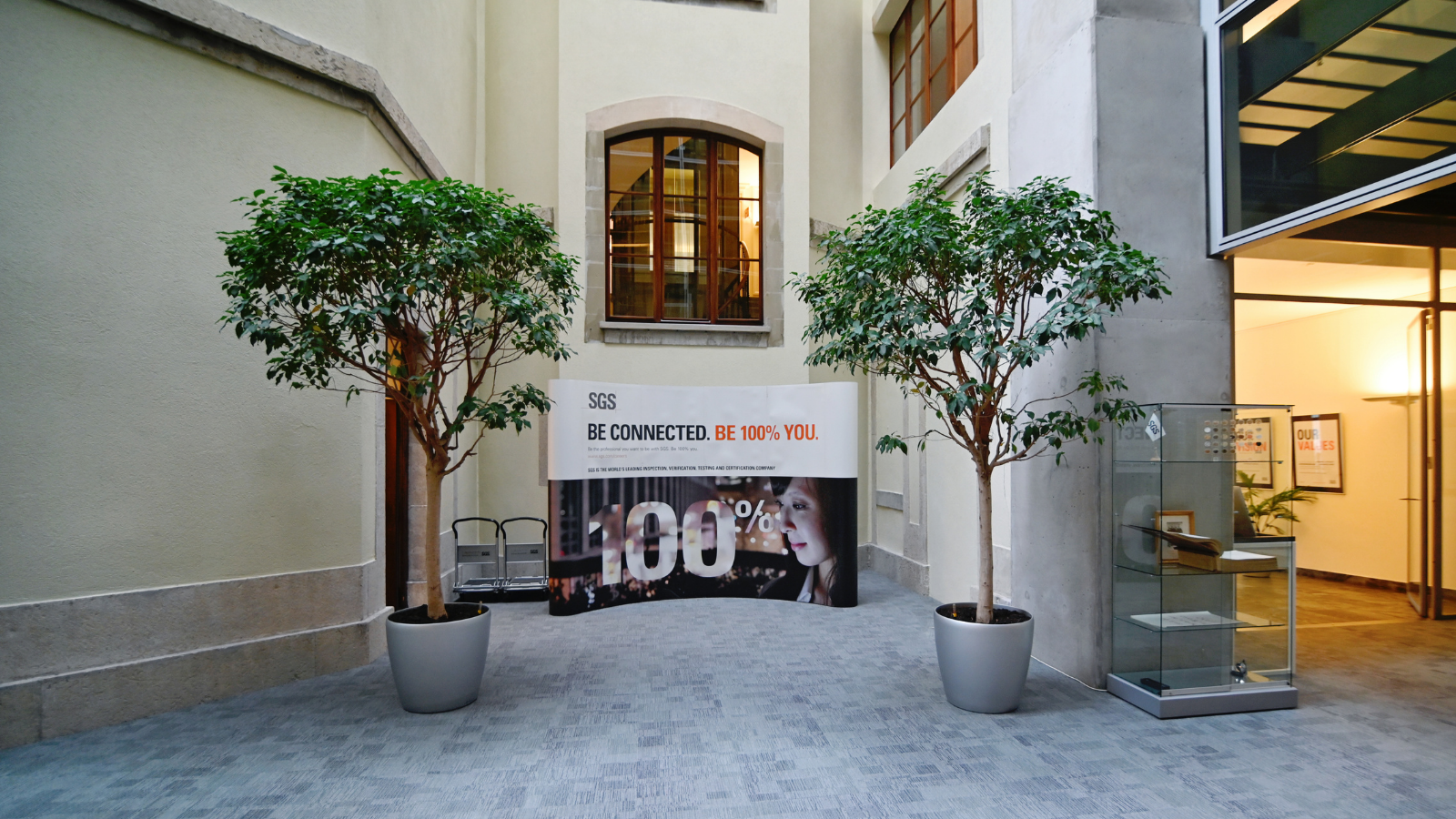 Finance – Our Investment Initiatives | SGS Japan