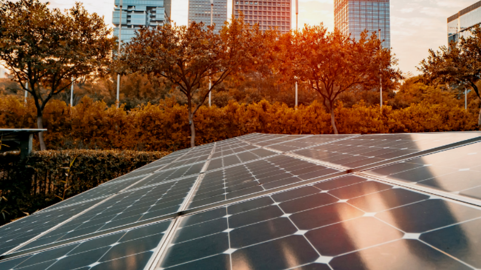 Renewable Energy: Enabling a Better World | SGS Denmark