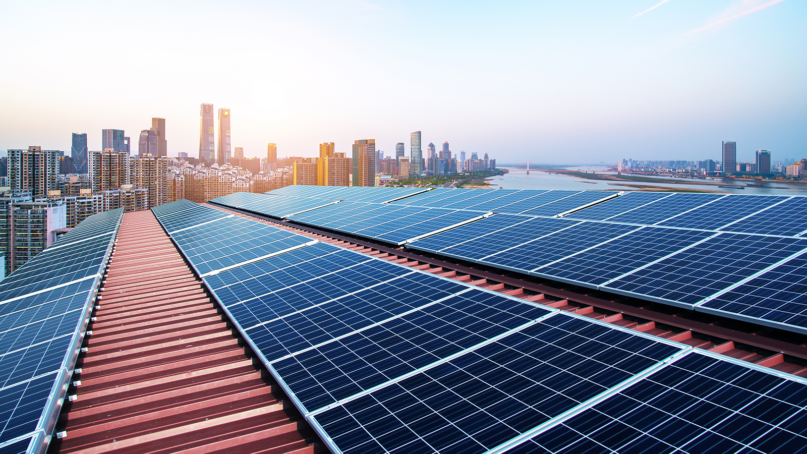 How is SGS Tackling Climate Change? | SGS USA