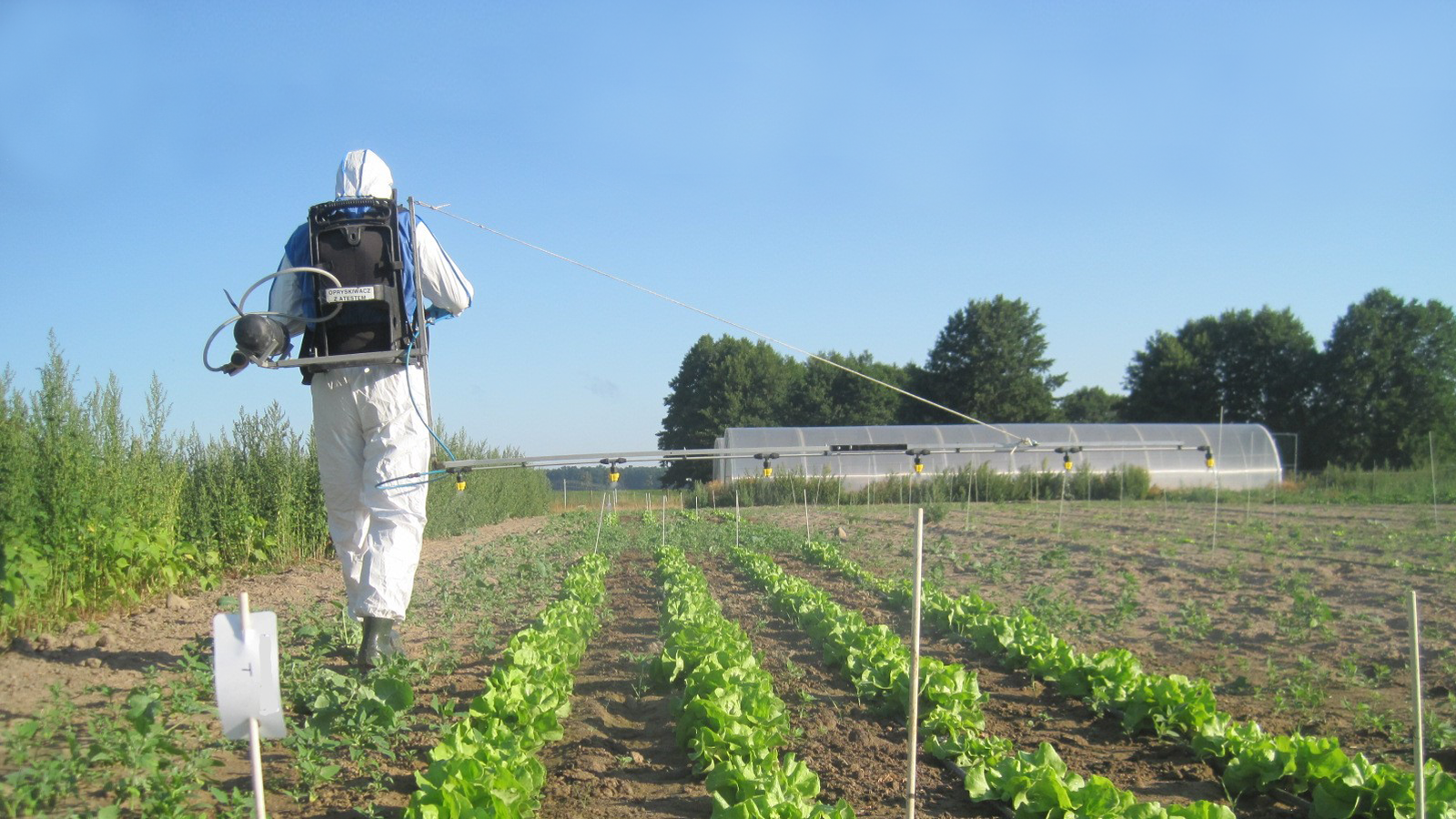 Trust SGS Experts for Dislodgeable Foliar Residue (DFR) Crop Trials in ...