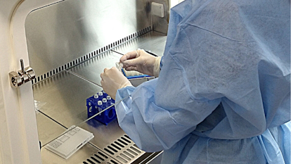 SGS Opens New Laboratory in Qingdao, Increasing Its Chemical Testing ...