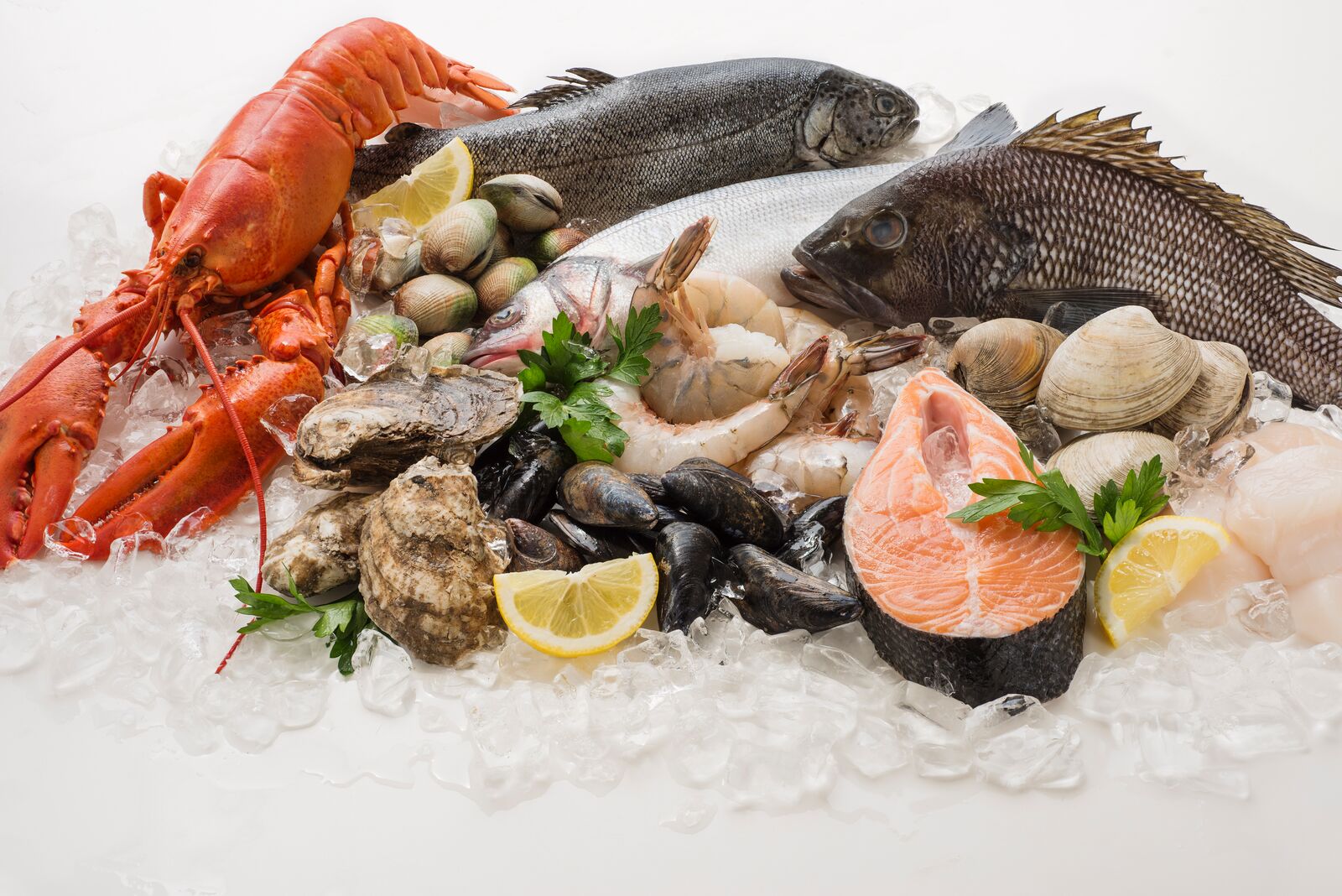 Seafood Expo North America 2024 | SGS