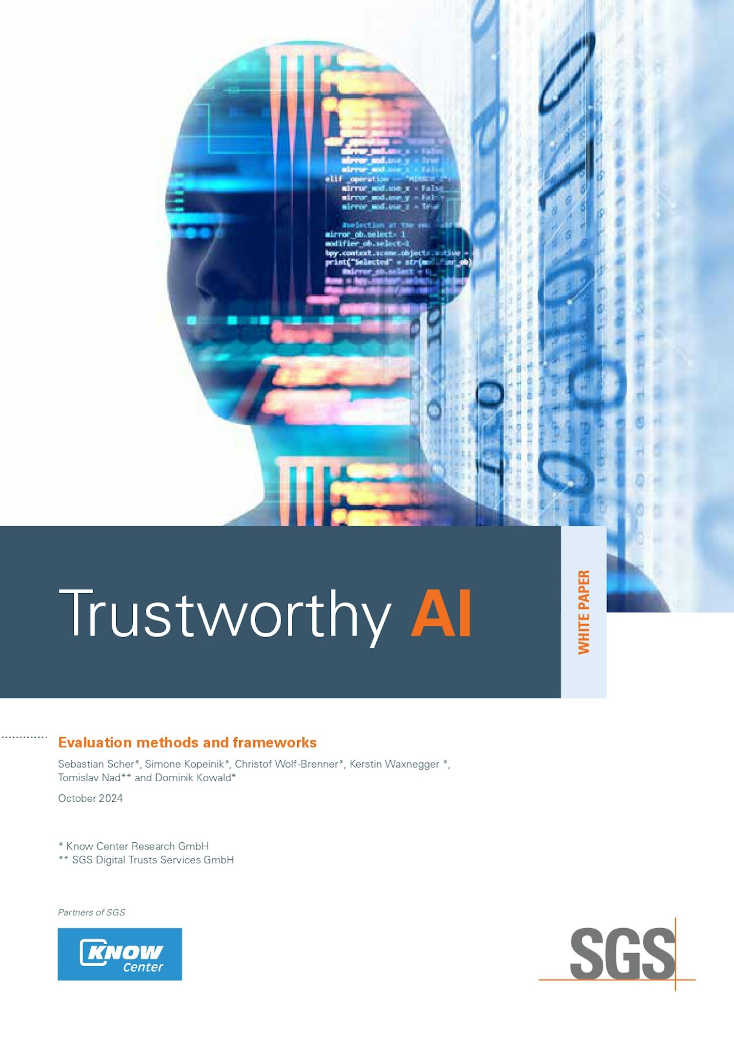 Trustworthy AI, Evaluation Methods and Frameworks | SGS USA