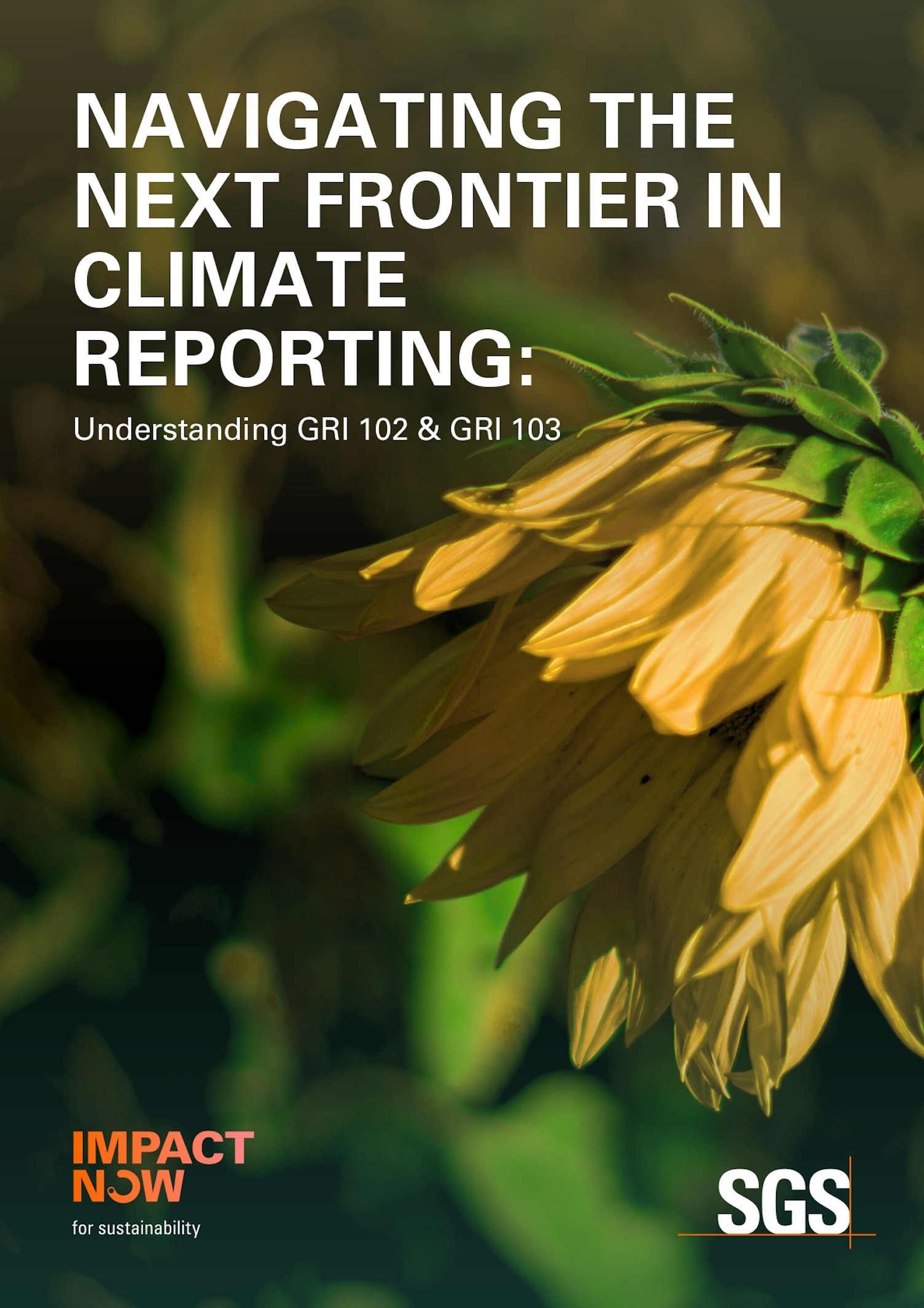 Navigating the Next Frontier in Climate Reporting: Understanding GRI ...